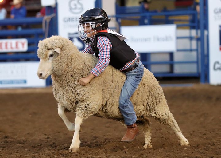 Events: American Bull Fighting Championship Presented By Abilene ...